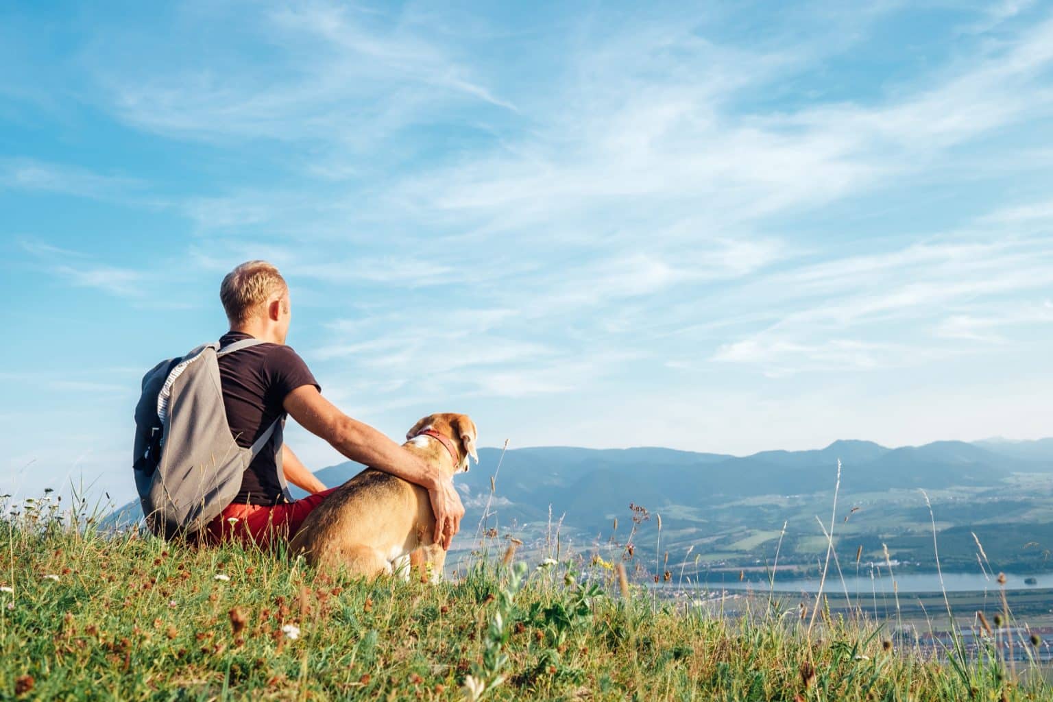 Promener son chien en été : conseils et recommandations Promener son chien en été : conseils et recommandations